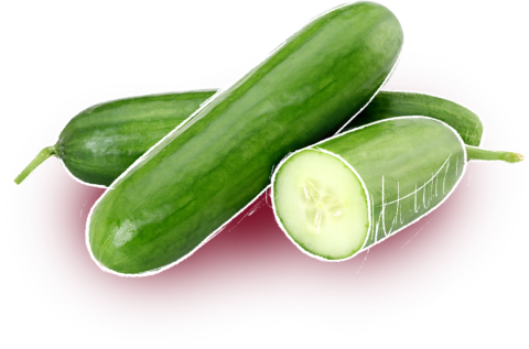 Mini Cucumbers | TriSon Farms